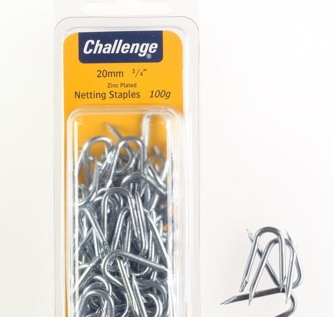 Challenge 20mm Netting Staples ZP 100g – Homefix DIY