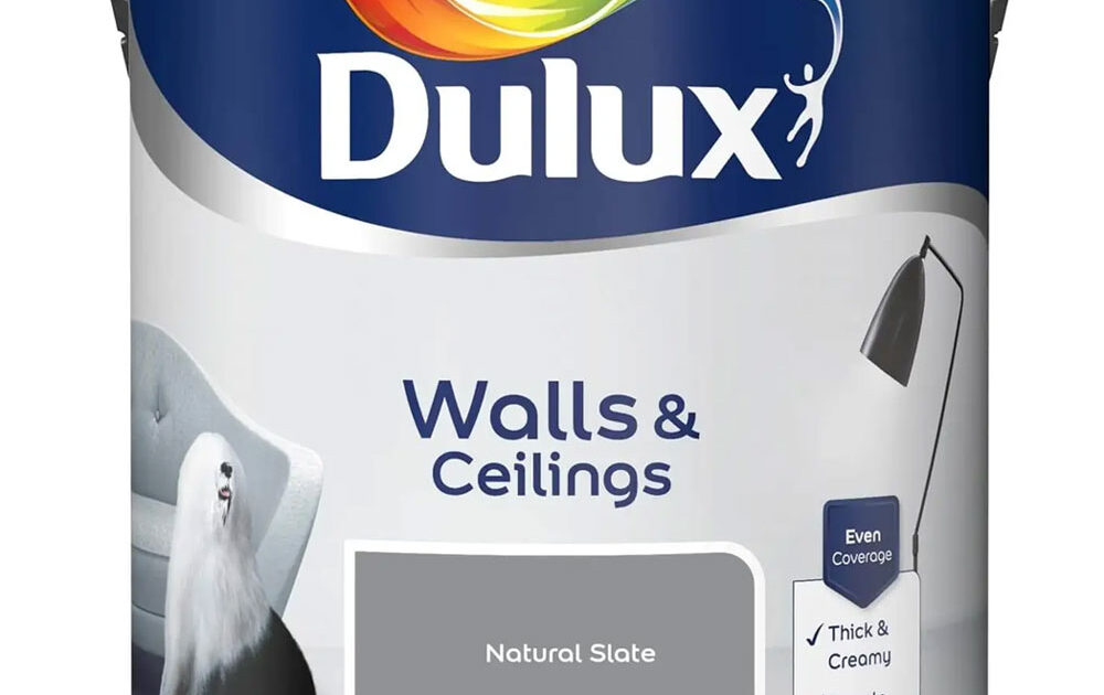 Dulux Walls & Ceilings Matt Natural Slate Paint 2.5lt – Homefix DIY