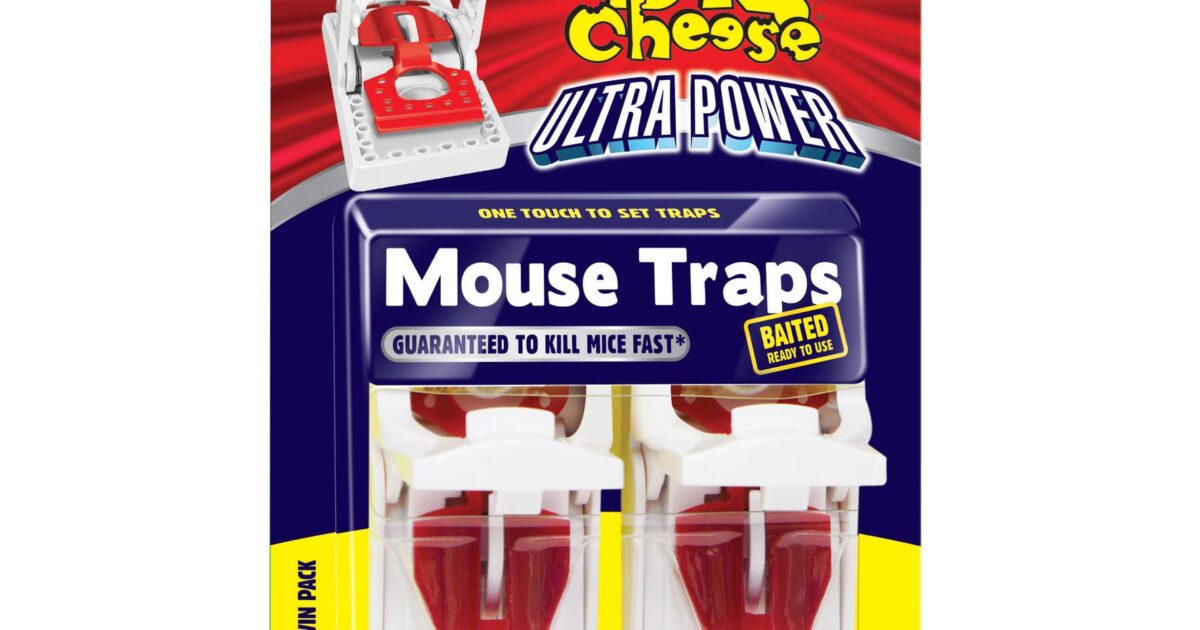The Big Cheese Ultra Power Mouse Traps – Homefix DIY