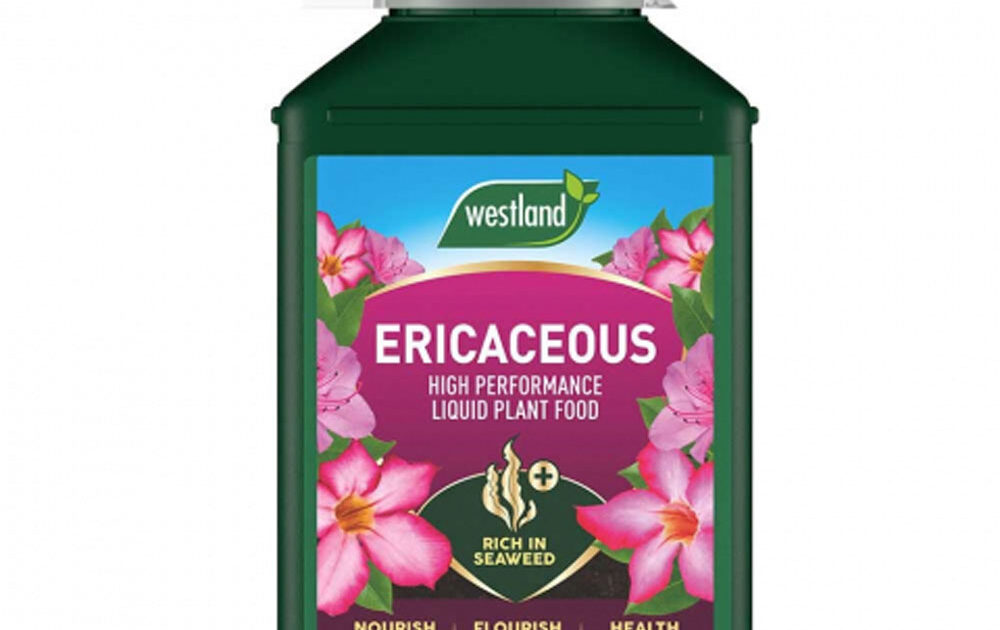 Westland Ericaceous Liquid Plant Food 1lt – Homefix DIY