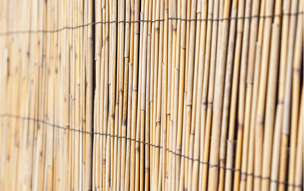 Apollo Reed Screening 4m x 1m – Homefix DIY