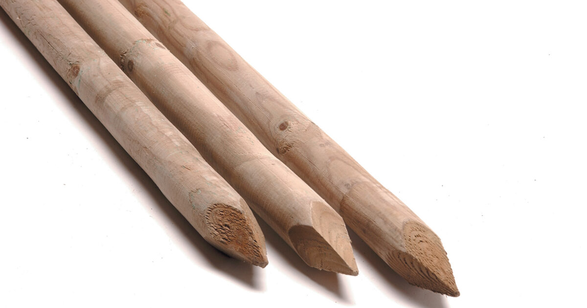 Apollo Round Softwood Tree Stakes 1.2m x 30mm – Homefix DIY
