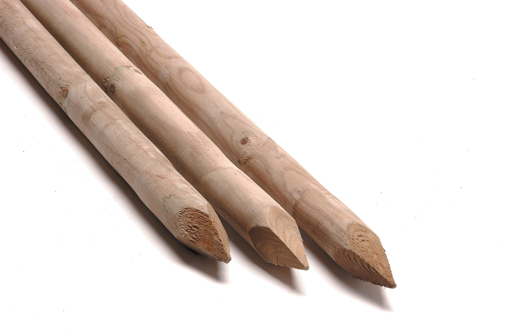 Apollo Round Softwood Tree Stakes 1.2m x 30mm – Homefix DIY