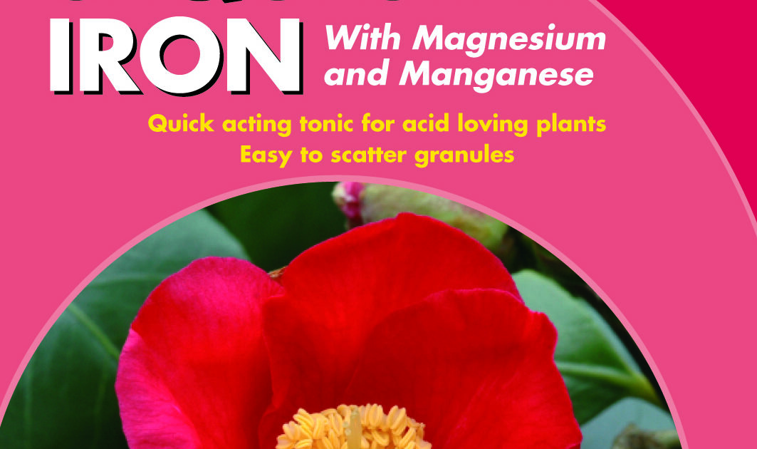 Chempak Sequestered Iron 250g – Homefix DIY