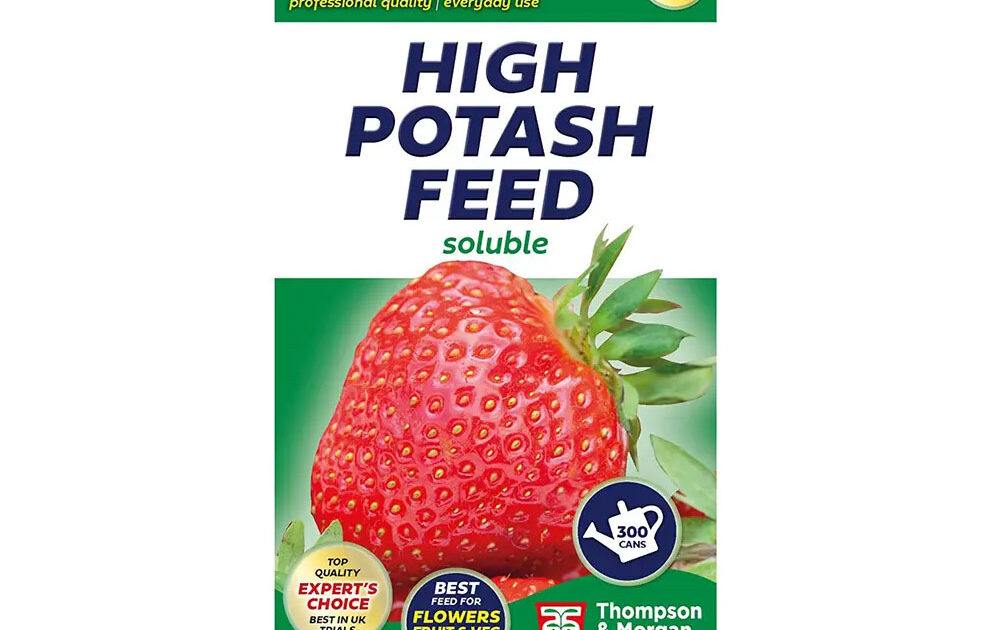 Chempak High Potash Plant Feed Formula No.4 (750g) – Homefix DIY