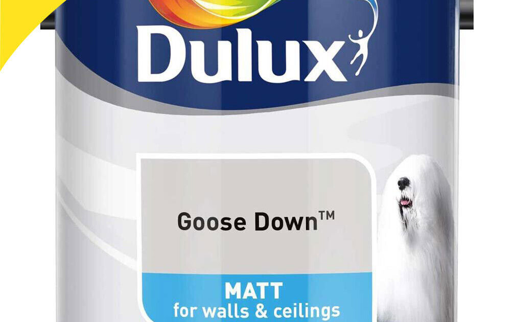 Dulux Walls & ceilings Goose down Matt Emulsion paint, 2.5L – Homefix DIY
