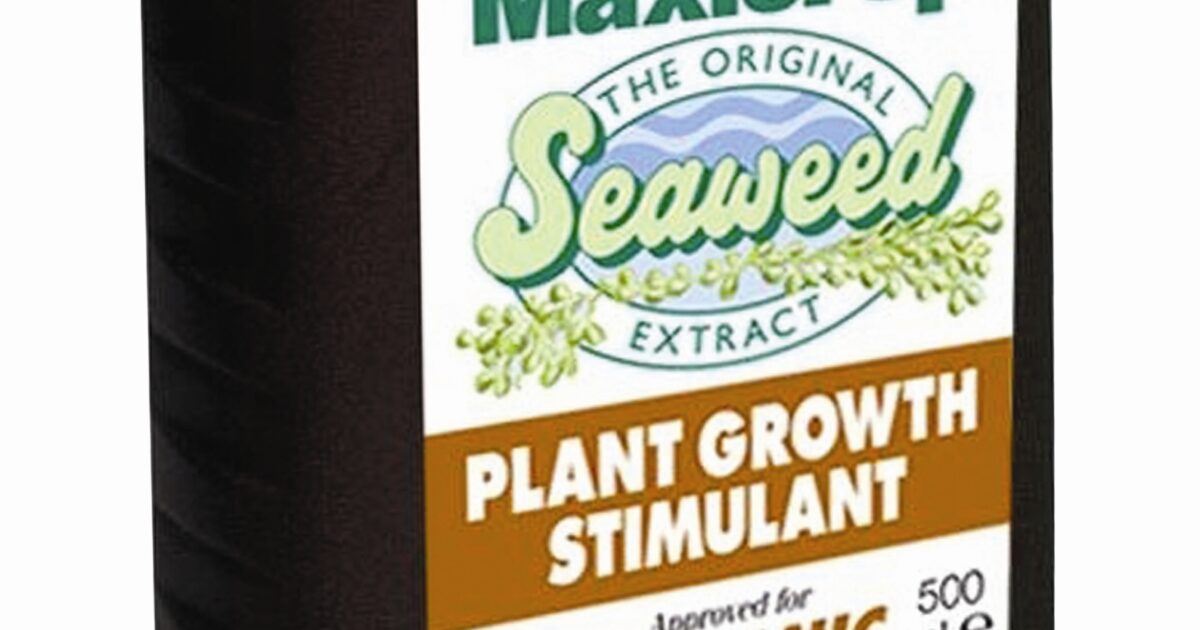 Maxicrop Original Seaweed Extract 500ml – Homefix DIY