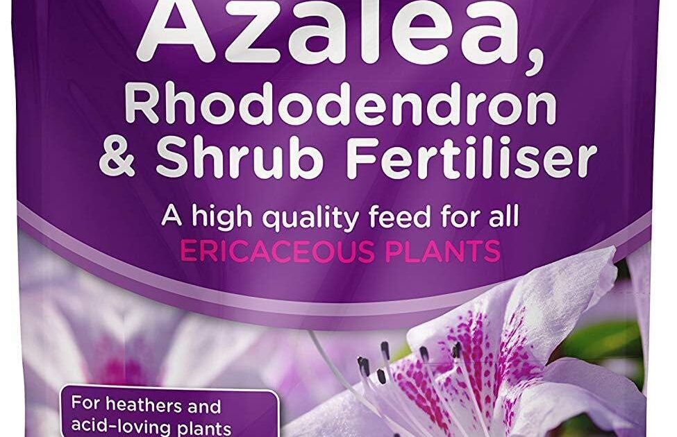Vitax Azalea, Rhododendron & Shrub Fertilizer 0.9kg Pouch – Homefix DIY