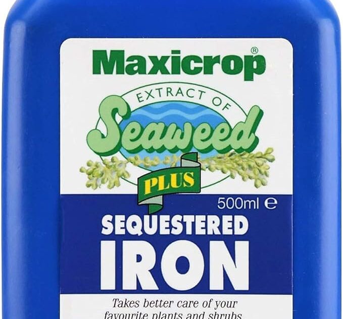 Maxicrop Sequestered Iron 1L – Homefix DIY