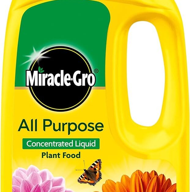Miracle Gro All Purpose Concentrated Liquid Plant Food, 800ml – Homefix DIY