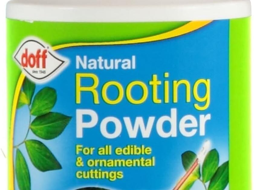 Doff Natural Rooting Powder 75gm, White – Homefix DIY